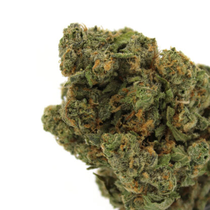 LA Runtz - Hybrid (28g) - SkunksOasis